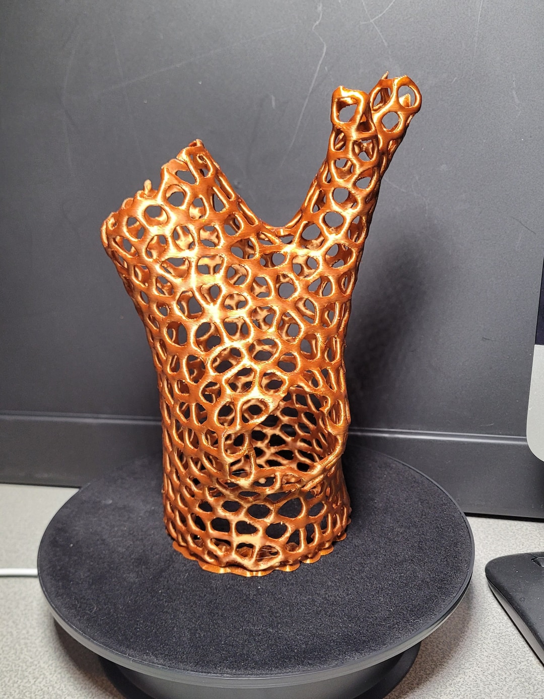 Hollowed Out Tree Branch Bonsai Aquarium Decoration Shrimp Hide Fish ...