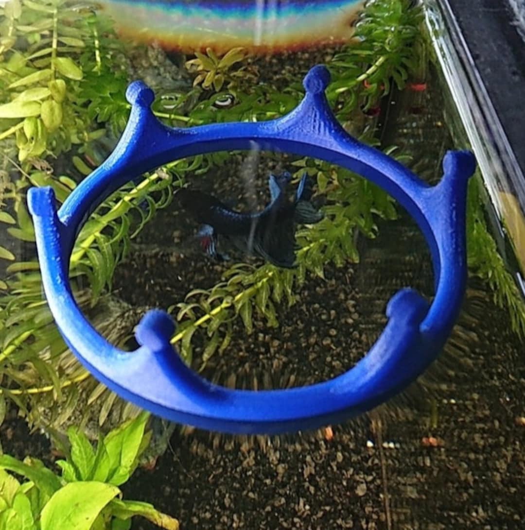 Crown Shaped Fish Feeding Ring - Etsy
