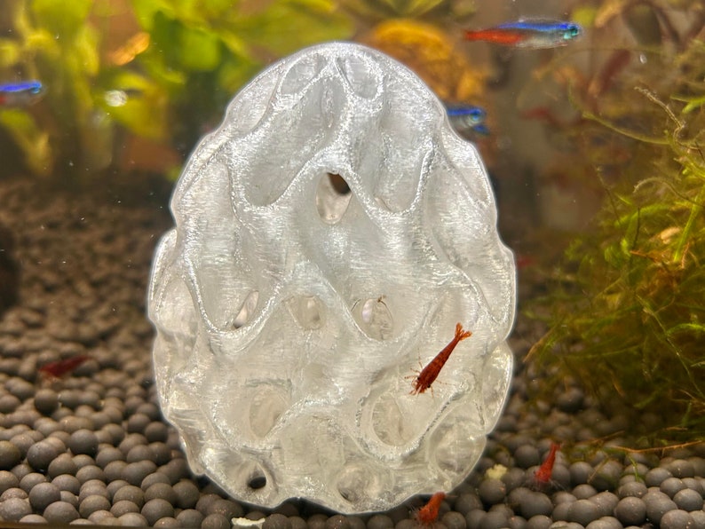 Shrimp Hide V2 - Etsy
