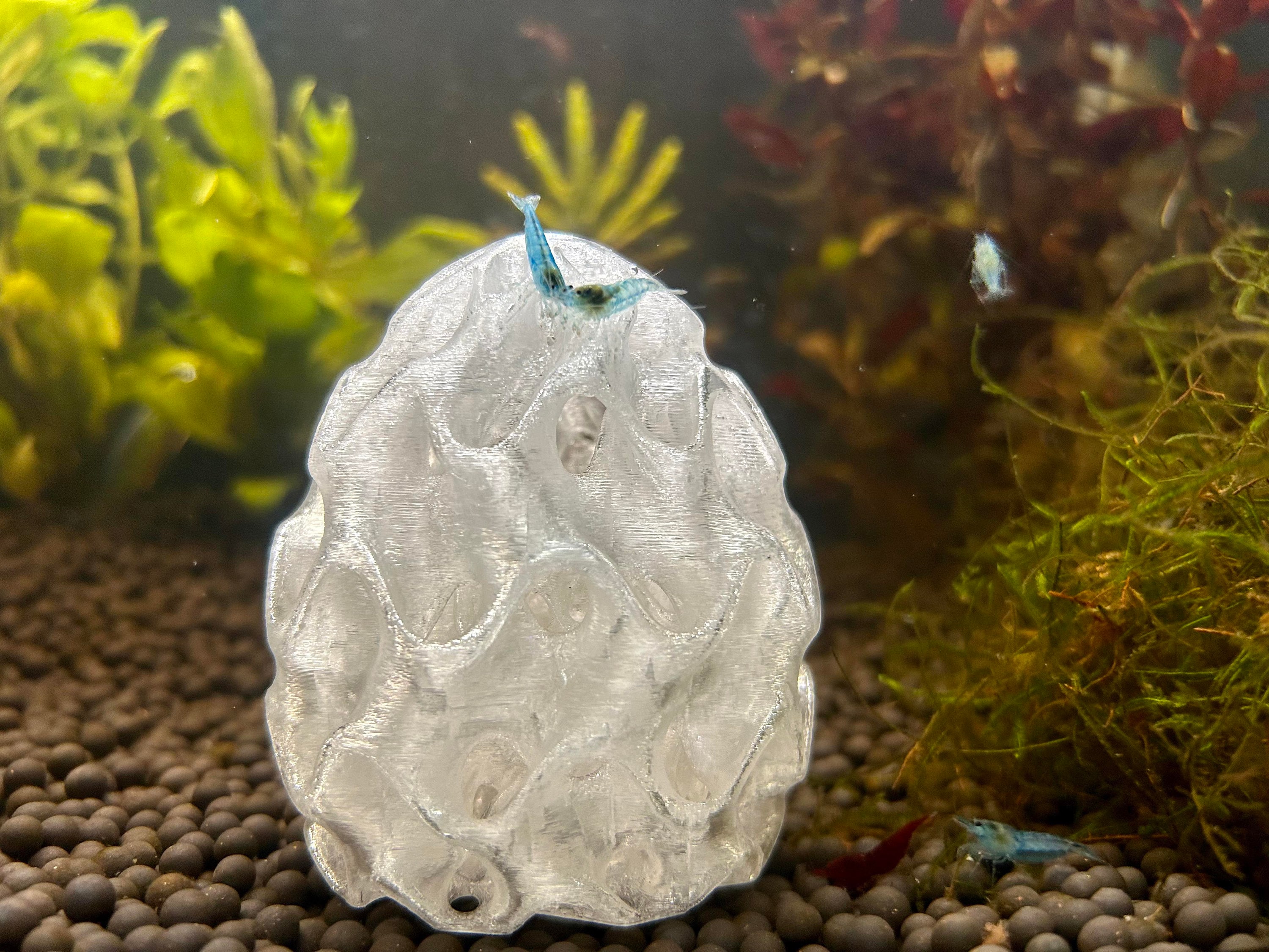 Shrimp Hide V2 - Etsy