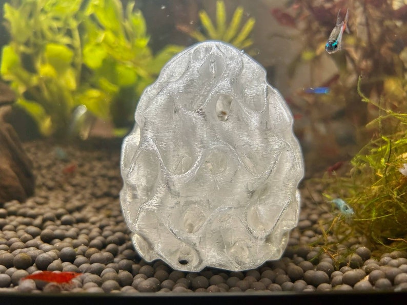 Shrimp Hide V2 - Etsy