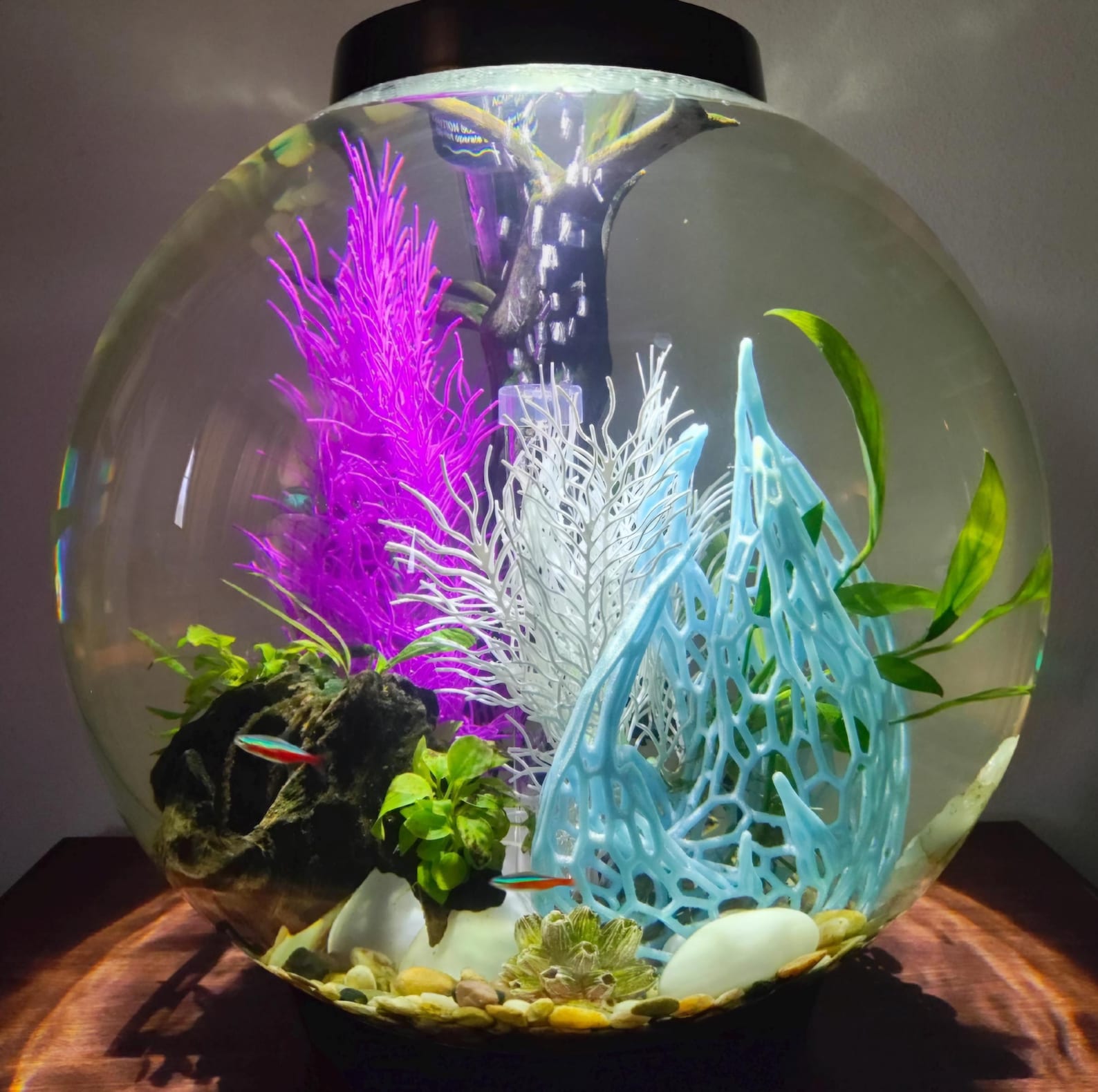 New Flame Aquarium Decoration Shrimp Hide Fish Hide - Etsy