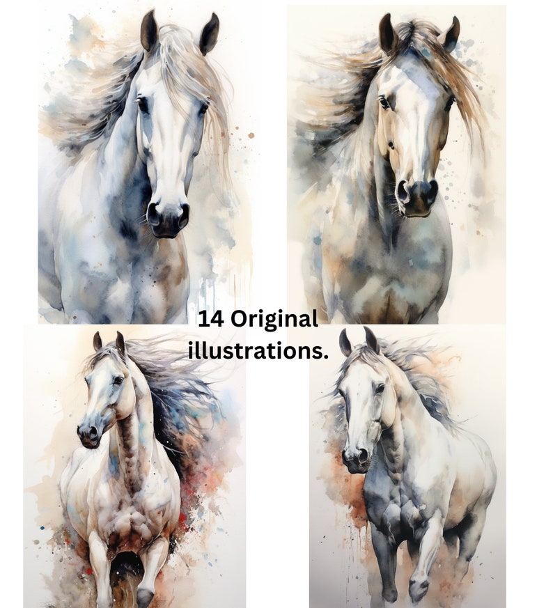 14 Watercolour Paintings of White Horses, Clipart Pngs, Original ...