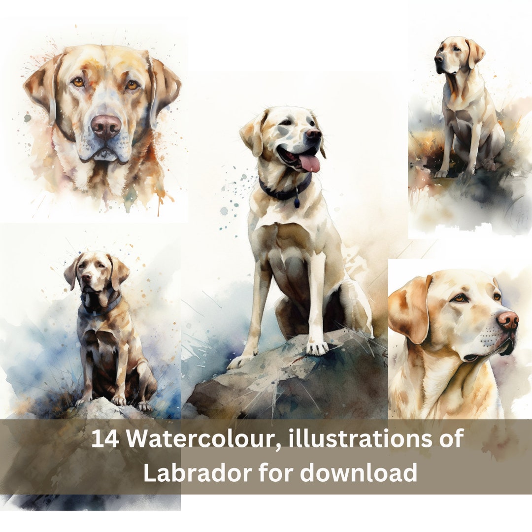 14 Watercolour Paintings of Labrador Retriever, Dog Artwork, Clipart ...