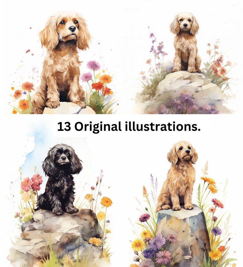 13 Watercolour Paintings of Cockapoos, Clipart Pngs, Original Artwork ...