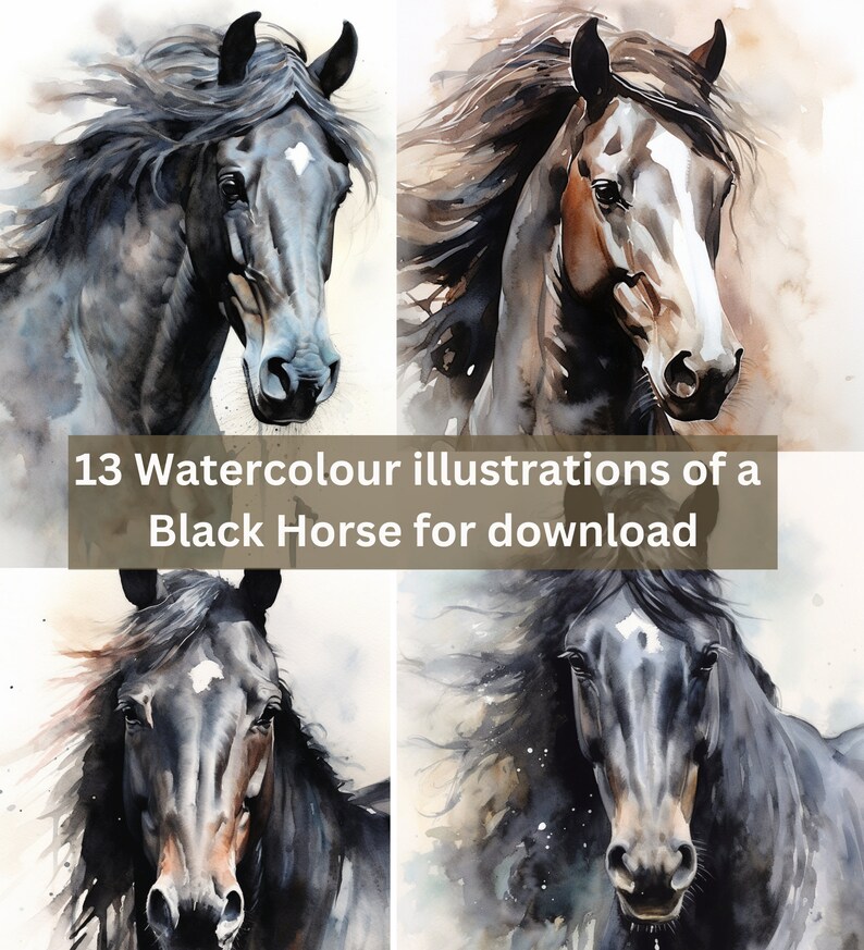 13 Watercolour Paintings of Black Horse, Clipart Pngs, Original Artwork ...