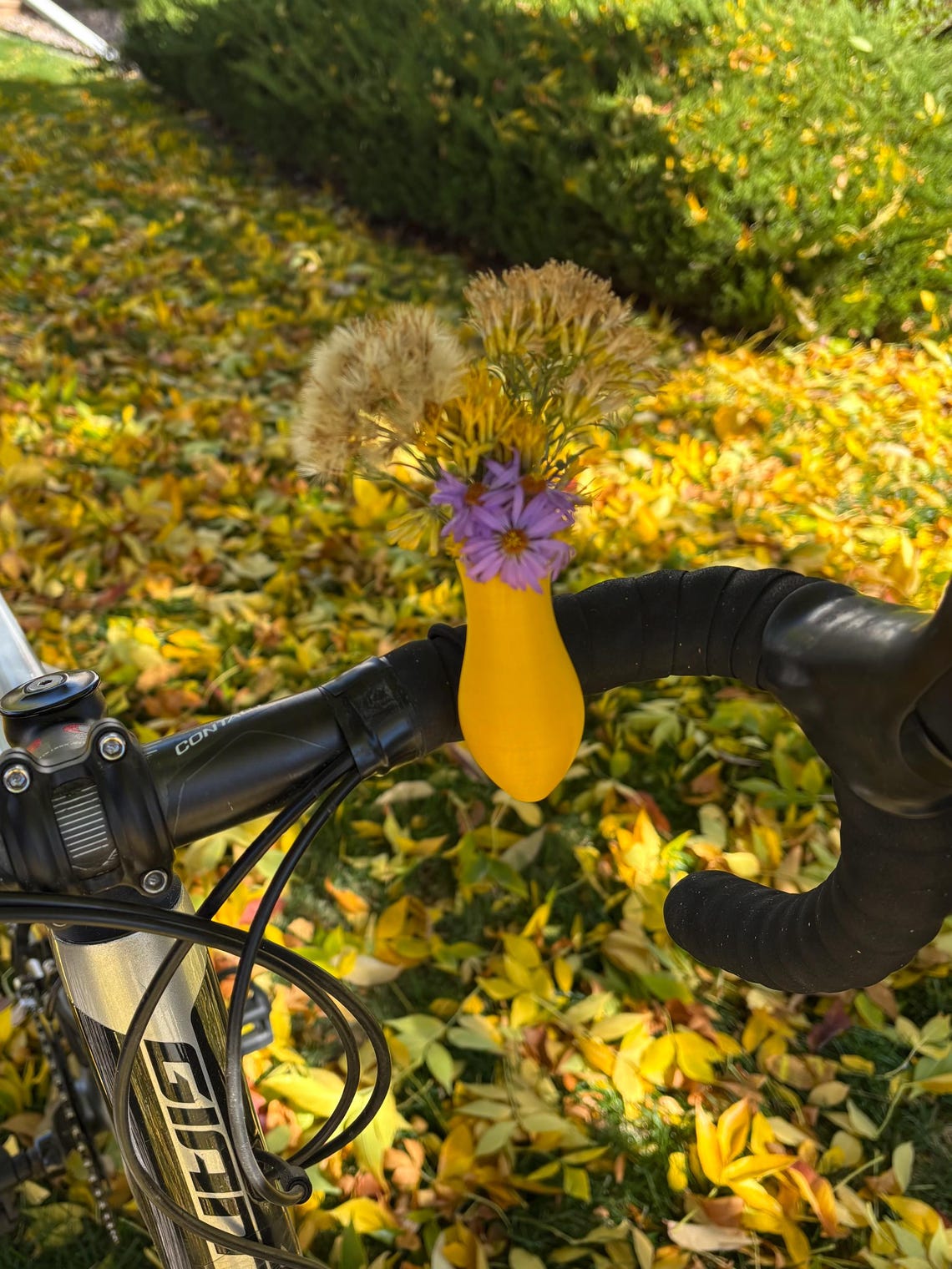 Bike Flower Vase for Handlebars Fun Biking Accessory for Summer, Flower ...