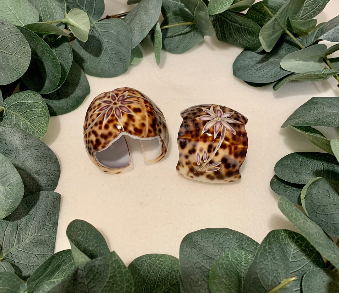 Vintage Leopard Cowrie Shell Napkin Rings Set of 2 With Etched Floral ...