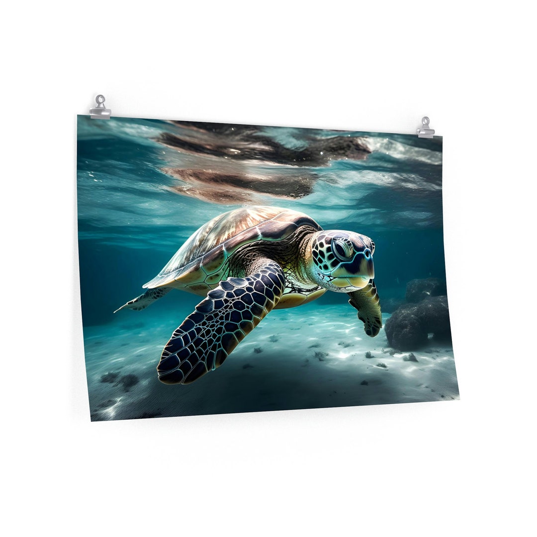 Sea Turtle - Premium Matte Horizontal Poster - Etsy