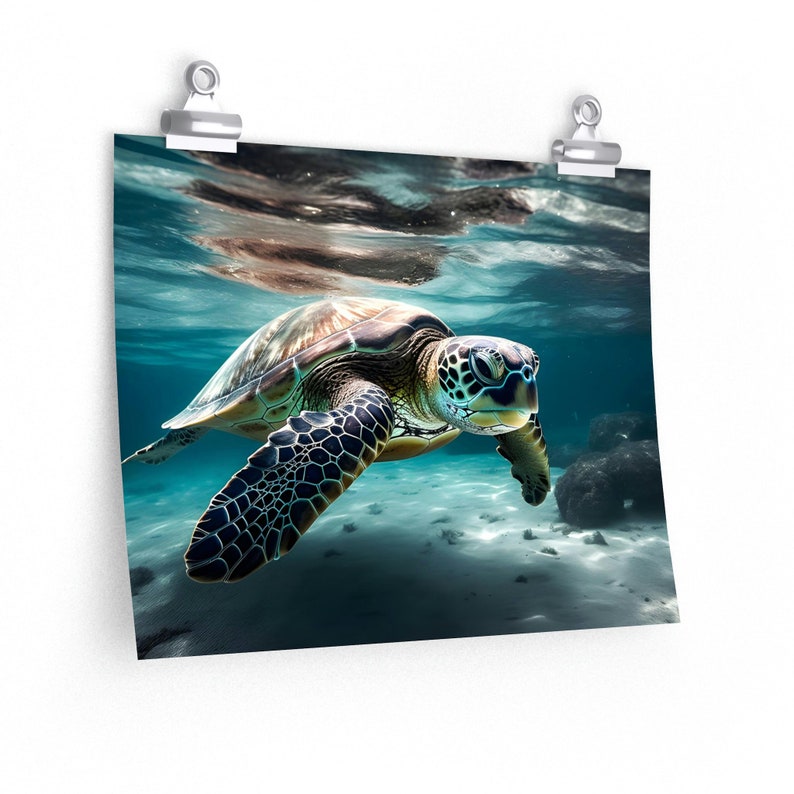 Sea Turtle Premium Matte Horizontal Poster - Etsy