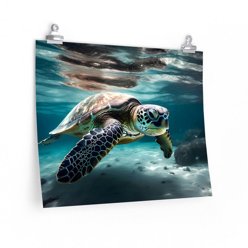 Sea Turtle Premium Matte Horizontal Poster - Etsy