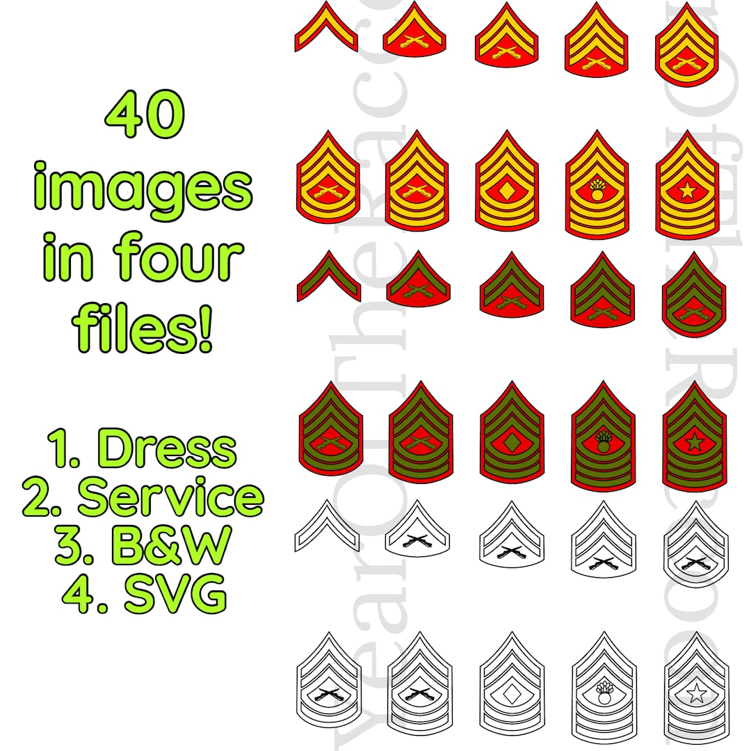 Marine Corps Ranks (creator Bundle) - Etsy