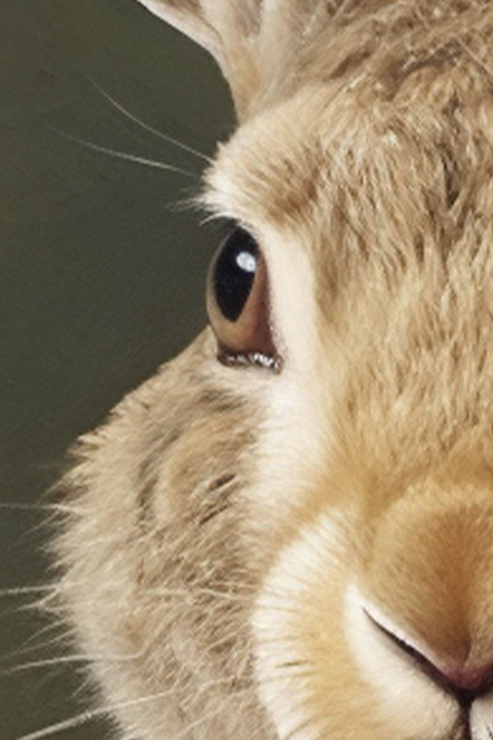 Victorian Hare Portrait - Gothic Canvas Wall Art - Renaissance Painting ...