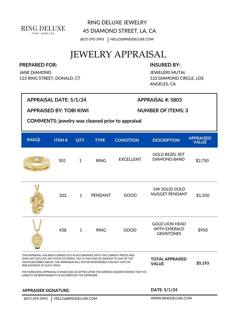 Multi-item Jewelry Appraisal Template PDF Re-usable Templates for ...