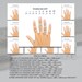 Diamond Carat Size Chart Bundle: Gemstone Conversion for Jewelers ...