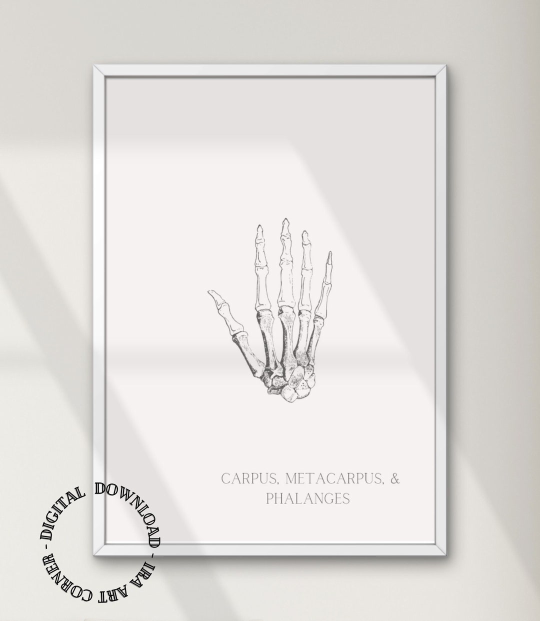 Chiropractic Hand Anatomy Wall Art - Etsy