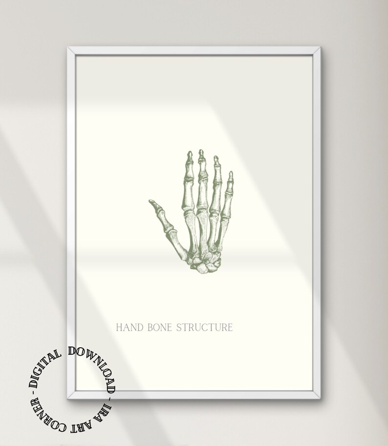 Vintage Hand Anatomy Poster Physical Therapy Wall Art, Bone Structure ...