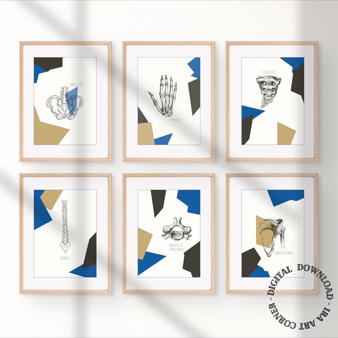 Spine Physical Therapy Office Decor, 6 Piece Blue Chiropractic Wall Art ...