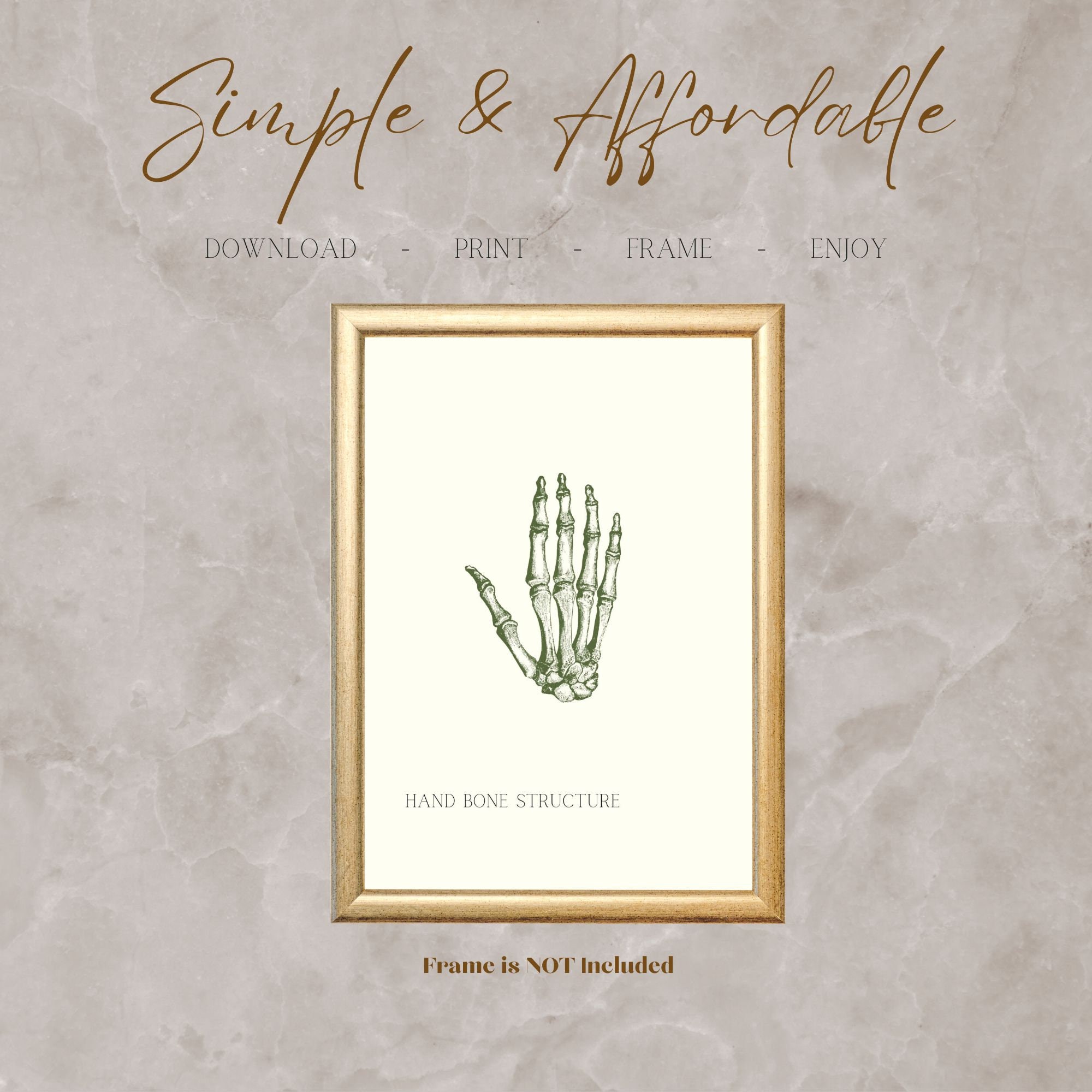 Vintage Hand Anatomy Poster Physical Therapy Wall Art, Bone Structure ...