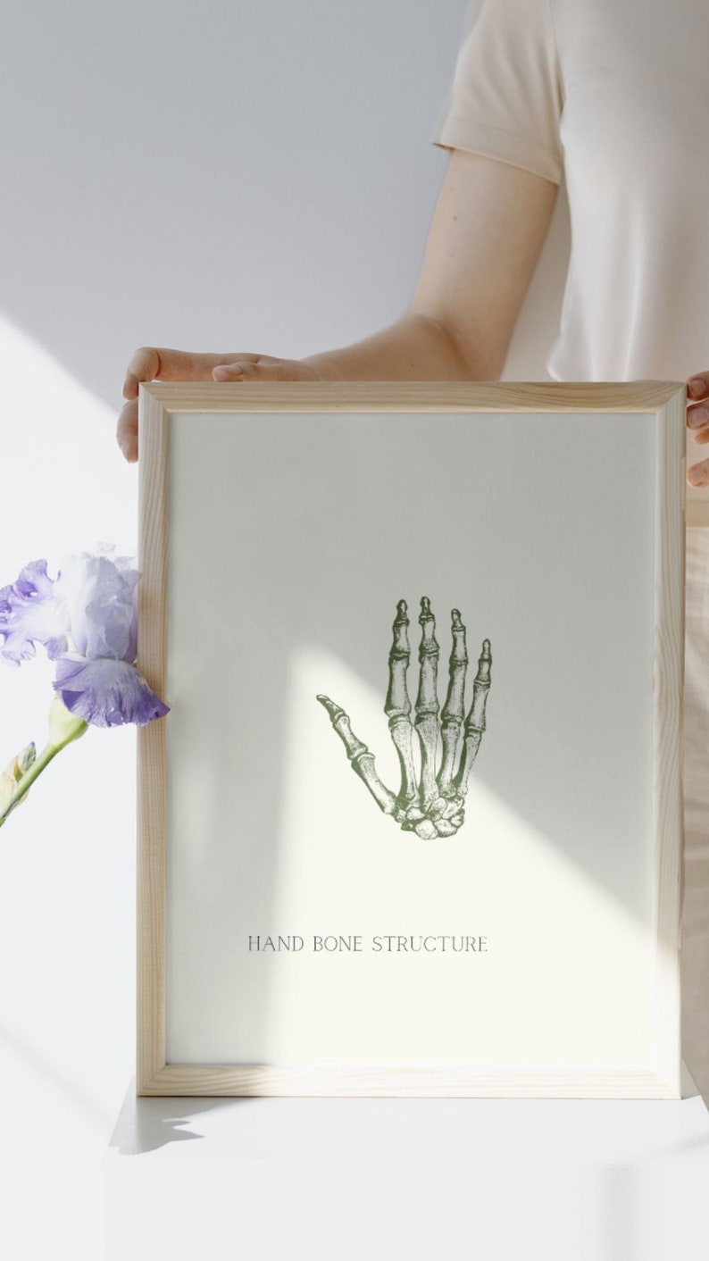 Vintage Hand Anatomy Poster Physical Therapy Wall Art, Bone Structure ...