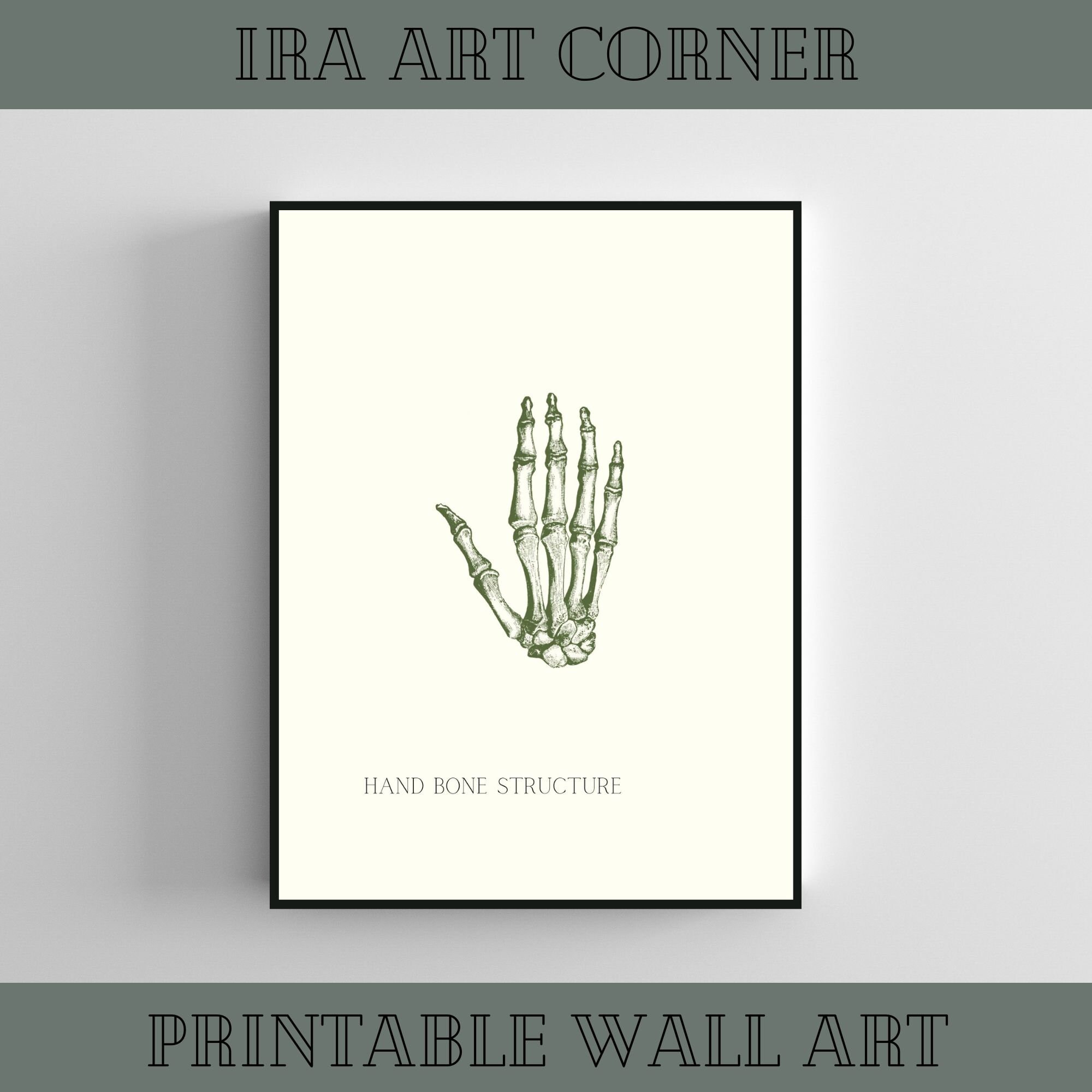 Vintage Hand Anatomy Poster Physical Therapy Wall Art, Bone Structure ...