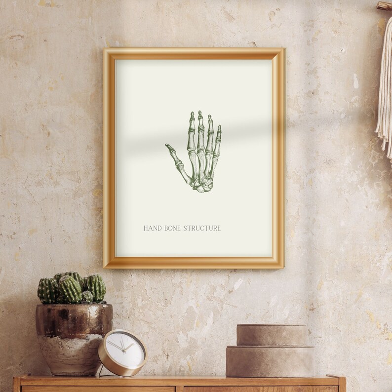 Vintage Hand Anatomy Poster Physical Therapy Wall Art, Bone Structure ...