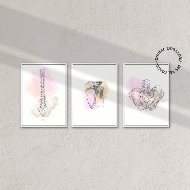 Orthopedic Poster - Etsy UK