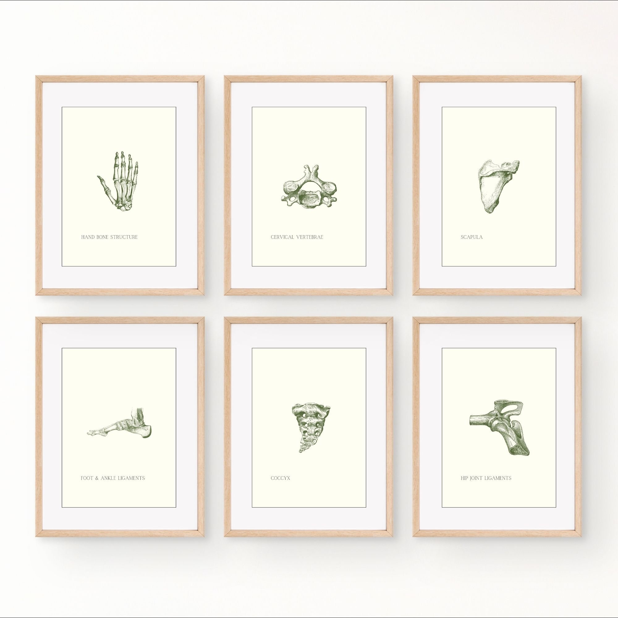 Vintage Hand Anatomy Poster Physical Therapy Wall Art, Bone Structure ...