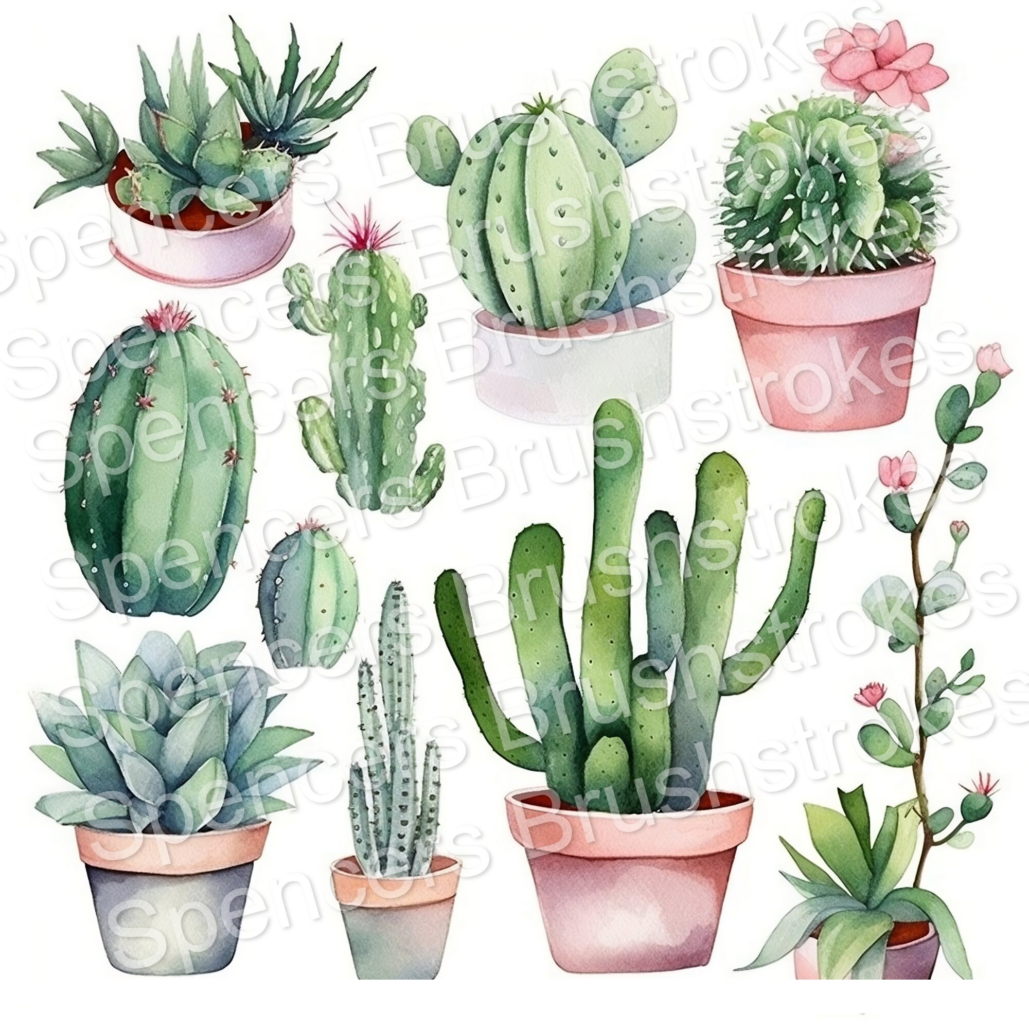 Cactus & Succulents Clipart: Watercolor Graphics - Etsy