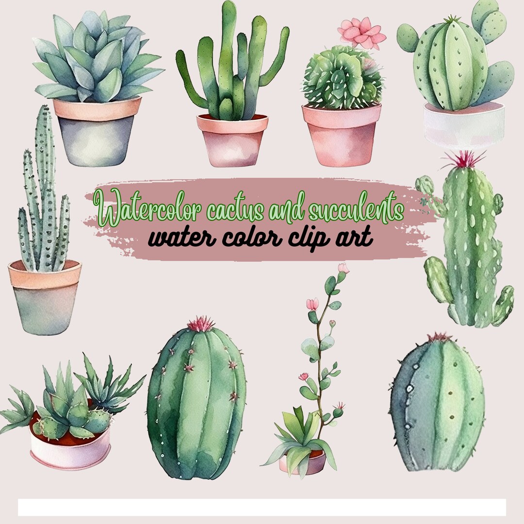 Cactus & Succulents Clipart: Watercolor Graphics - Etsy