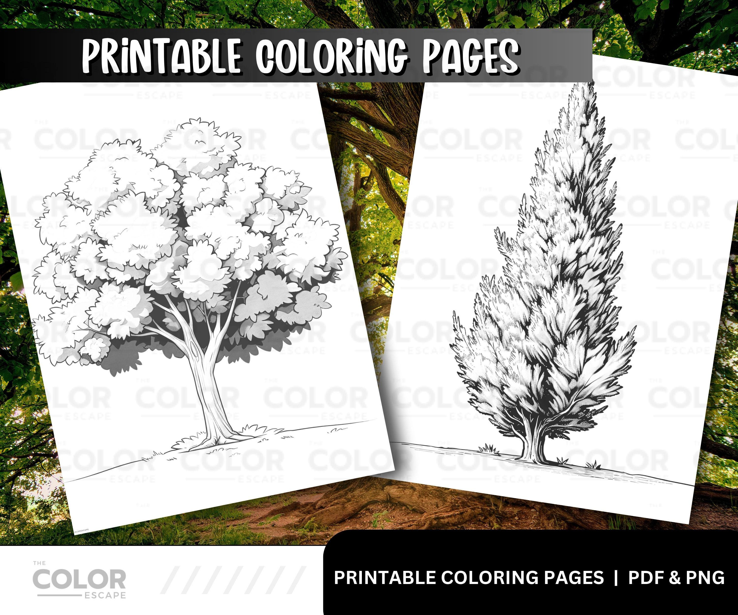 Digital Download Coloring Page - Majestic Trees: Intricate Line Art of ...