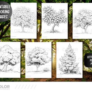 Digital Download Coloring Page - Majestic Trees: Intricate Line Art of ...