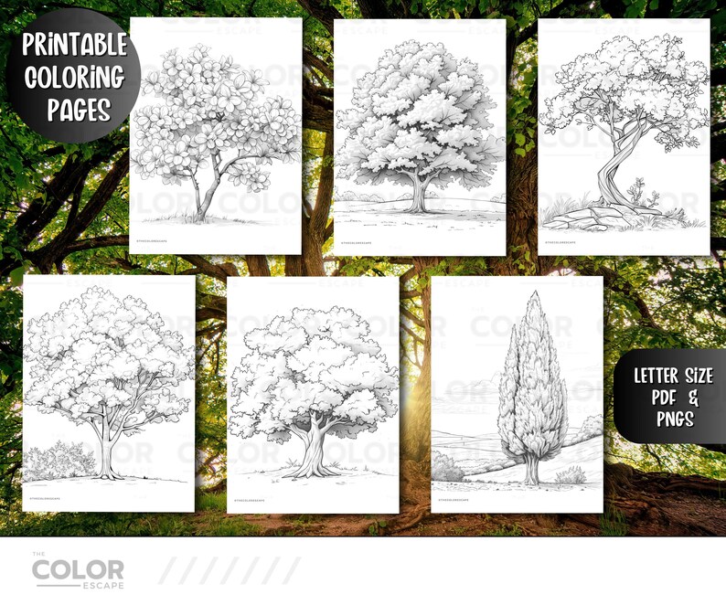 Digital Download Coloring Page Majestic Trees: Intricate Line Art of ...