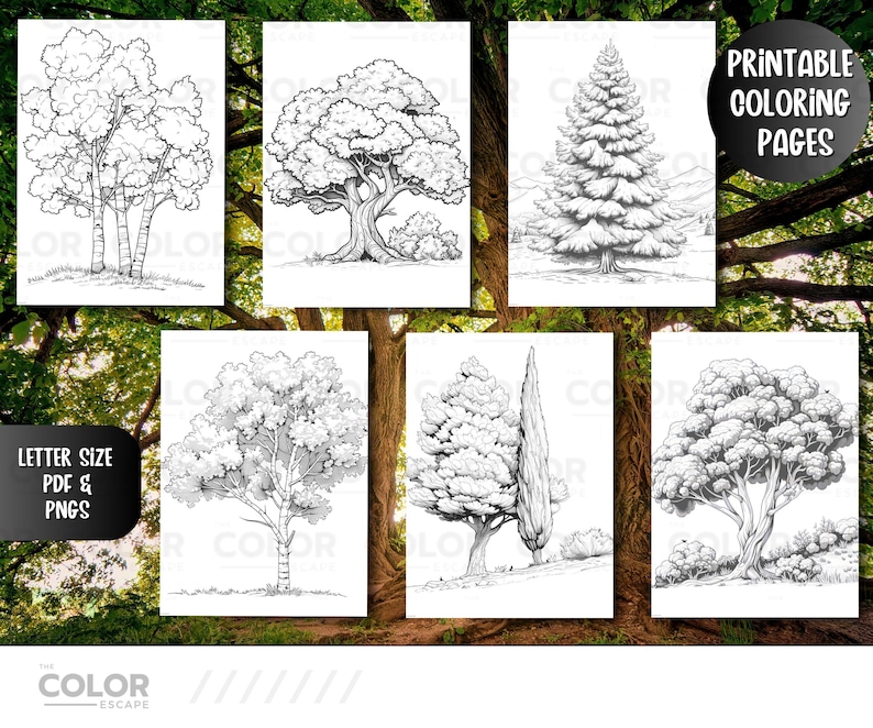 Digital Download Coloring Page - Majestic Trees: Intricate Line Art of ...