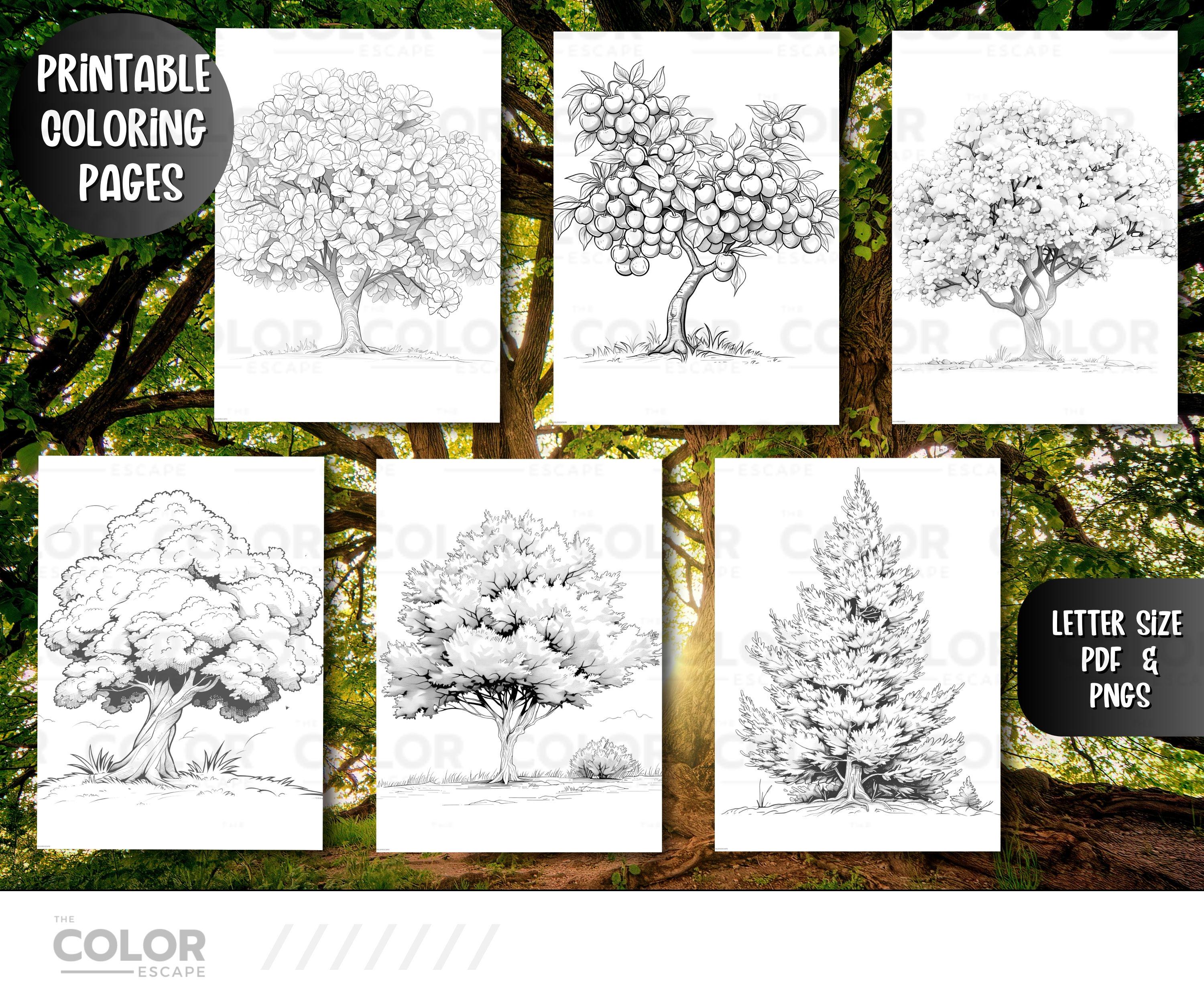 Digital Download Coloring Page - Majestic Trees: Intricate Line Art of ...