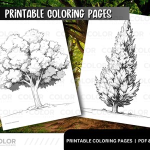 Digital Download Coloring Page - Majestic Trees: Intricate Line Art of ...
