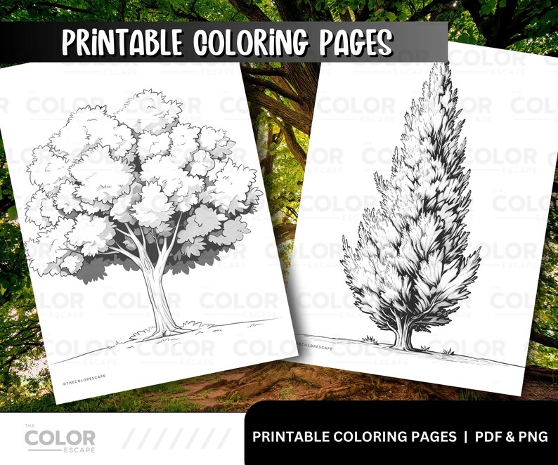 Digital Download Coloring Page Majestic Trees: Intricate Line Art of ...