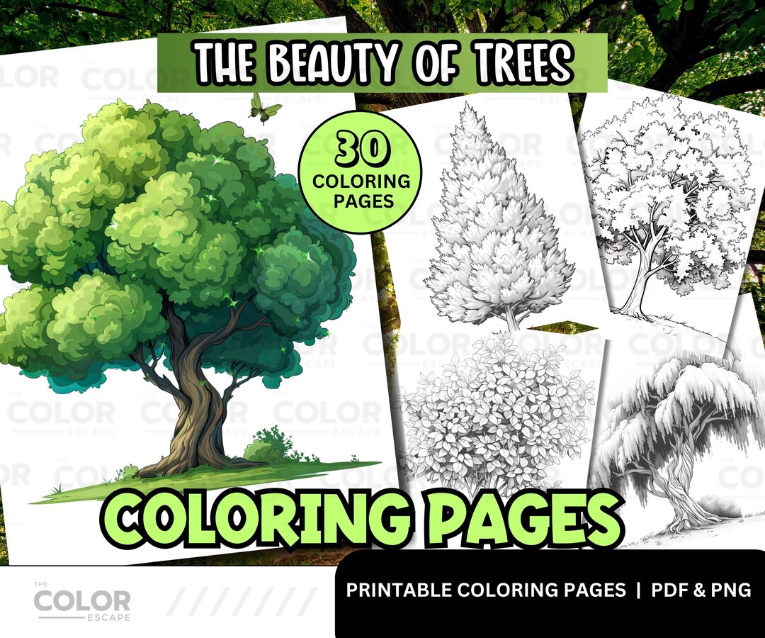 Digital Download Coloring Page - Majestic Trees: Intricate Line Art of ...