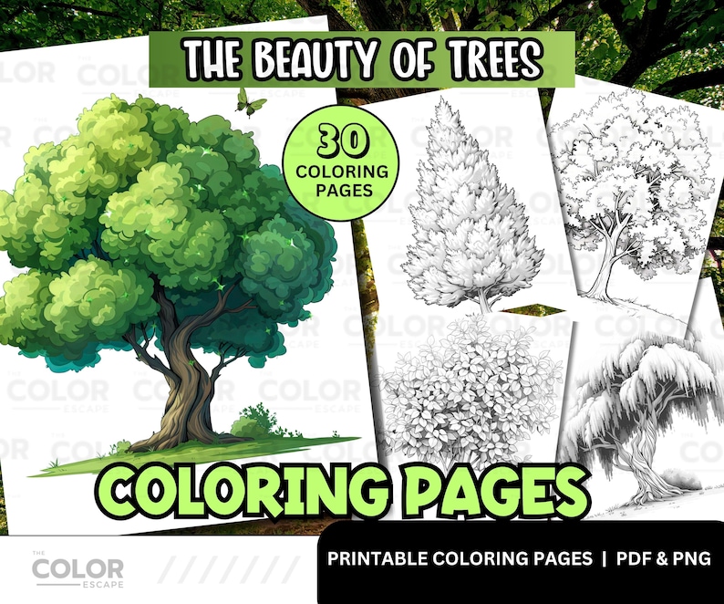 Digital Download Coloring Page - Majestic Trees: Intricate Line Art of ...