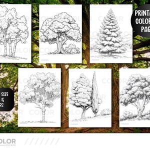 Digital Download Coloring Page - Majestic Trees: Intricate Line Art of ...