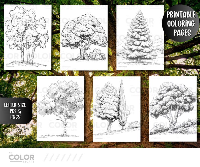 Digital Download Coloring Page Majestic Trees: Intricate Line Art of ...