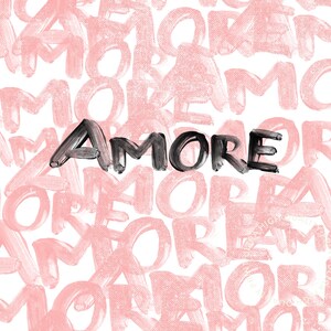 Amore Print - French Love Retro Pink Wall Art - Vintage Girly Decor ...