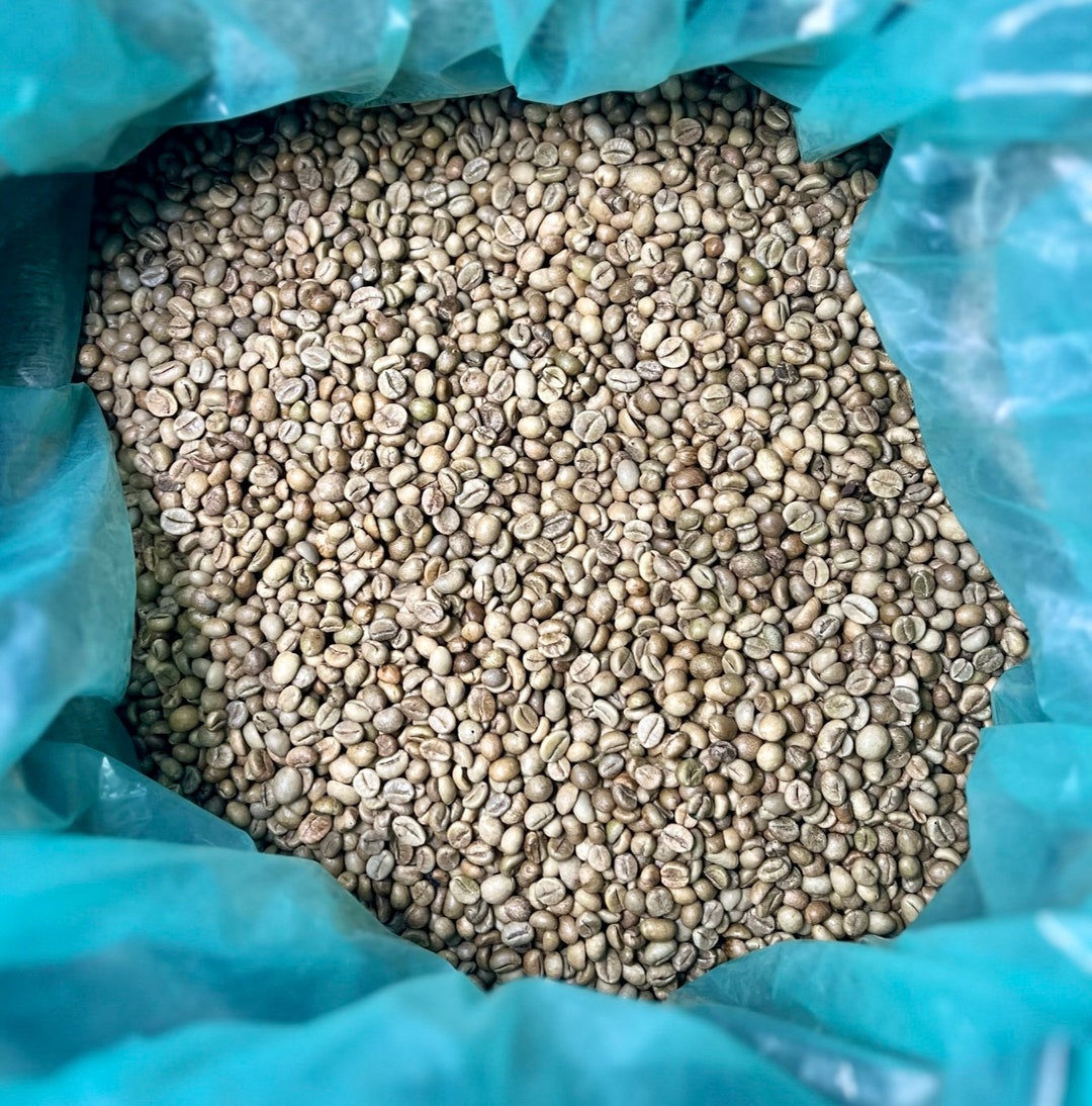 Green Robusta Coffee Beans - Unroasted | Bulk Coffee for Roasting ...