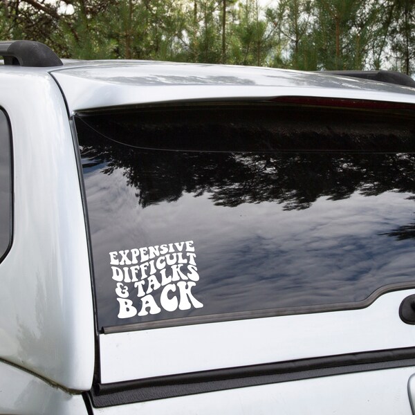 Funny Car Decal - Etsy