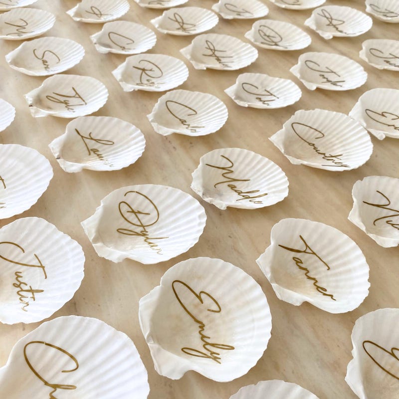 Sea Shell Place Card - Etsy
