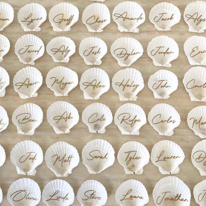 50 X Shell Place Card for Event | Shell Name Tag for Wedding ...