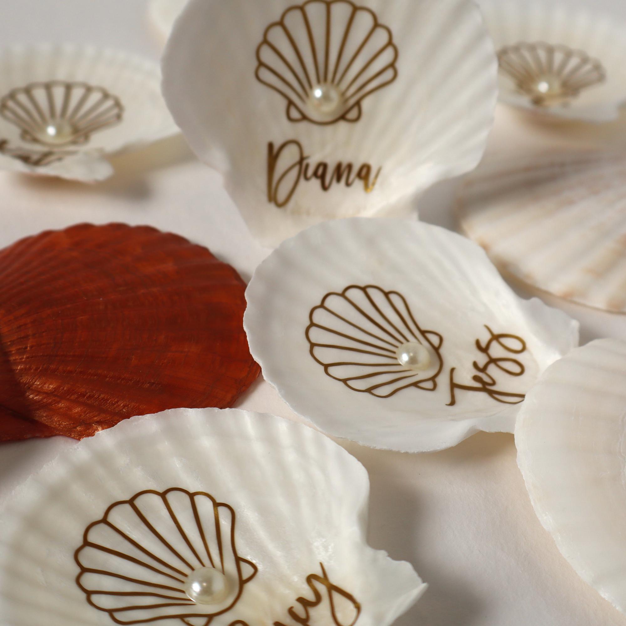 Shell Place Setting Names for Event | Personalised Place Shell | Shell ...