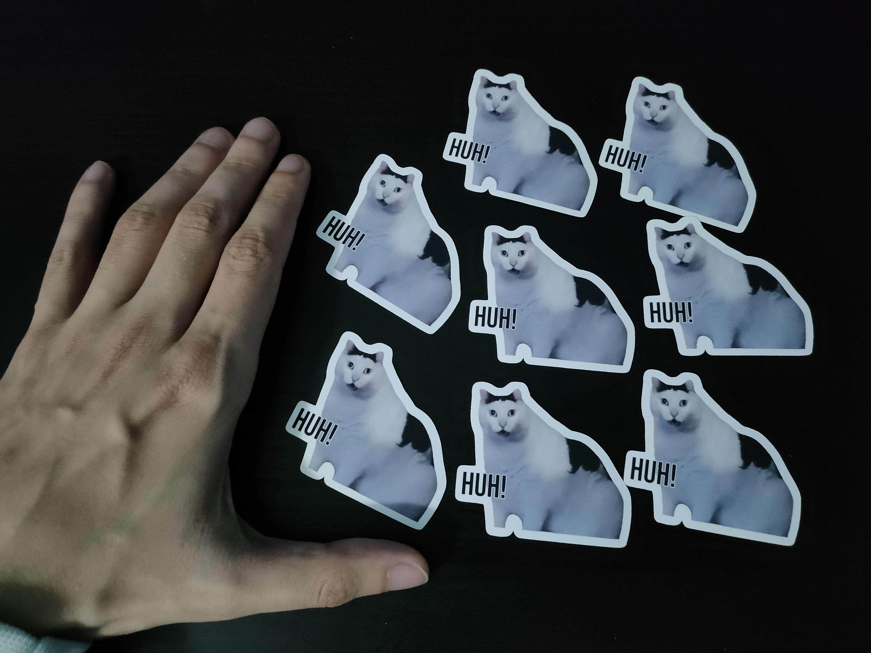 HUH Meme Cat Vinyl Sticker - Etsy UK