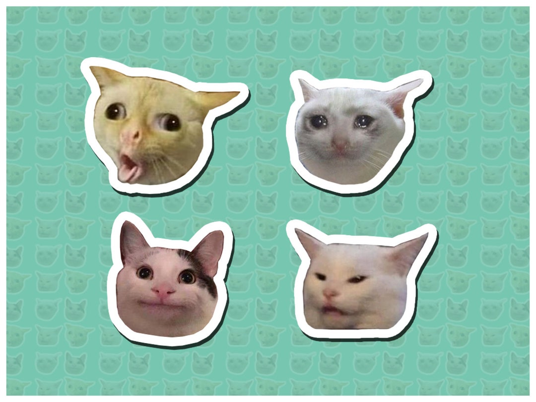 Cat Meme Vinyl Stickers - Etsy