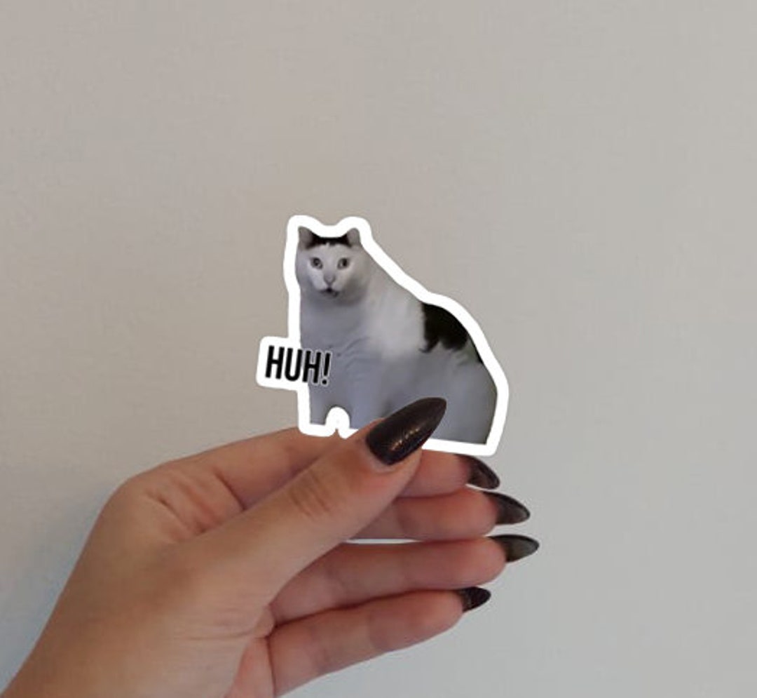 HUH Meme Cat Vinyl Sticker - Etsy